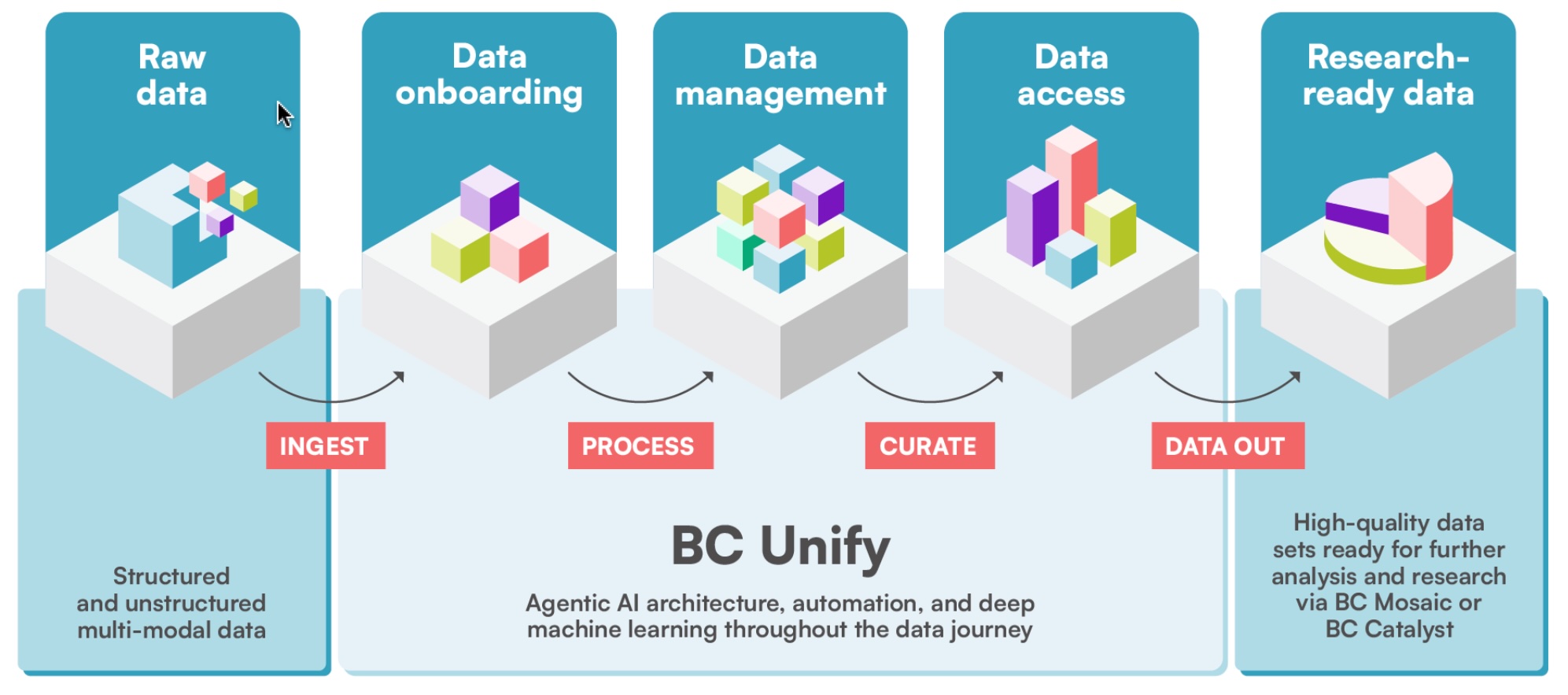 How BC Unify works: the AI-native platform behind our solutions - BC ...